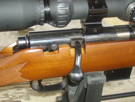 The Marlin 917 .17H MR Varmint Rifle Review